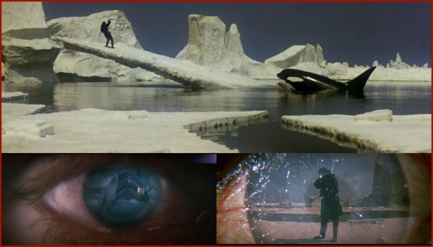 Orca Filmen 1977 ORCA Got My Comps Of The @steelbook For 1977 Classic