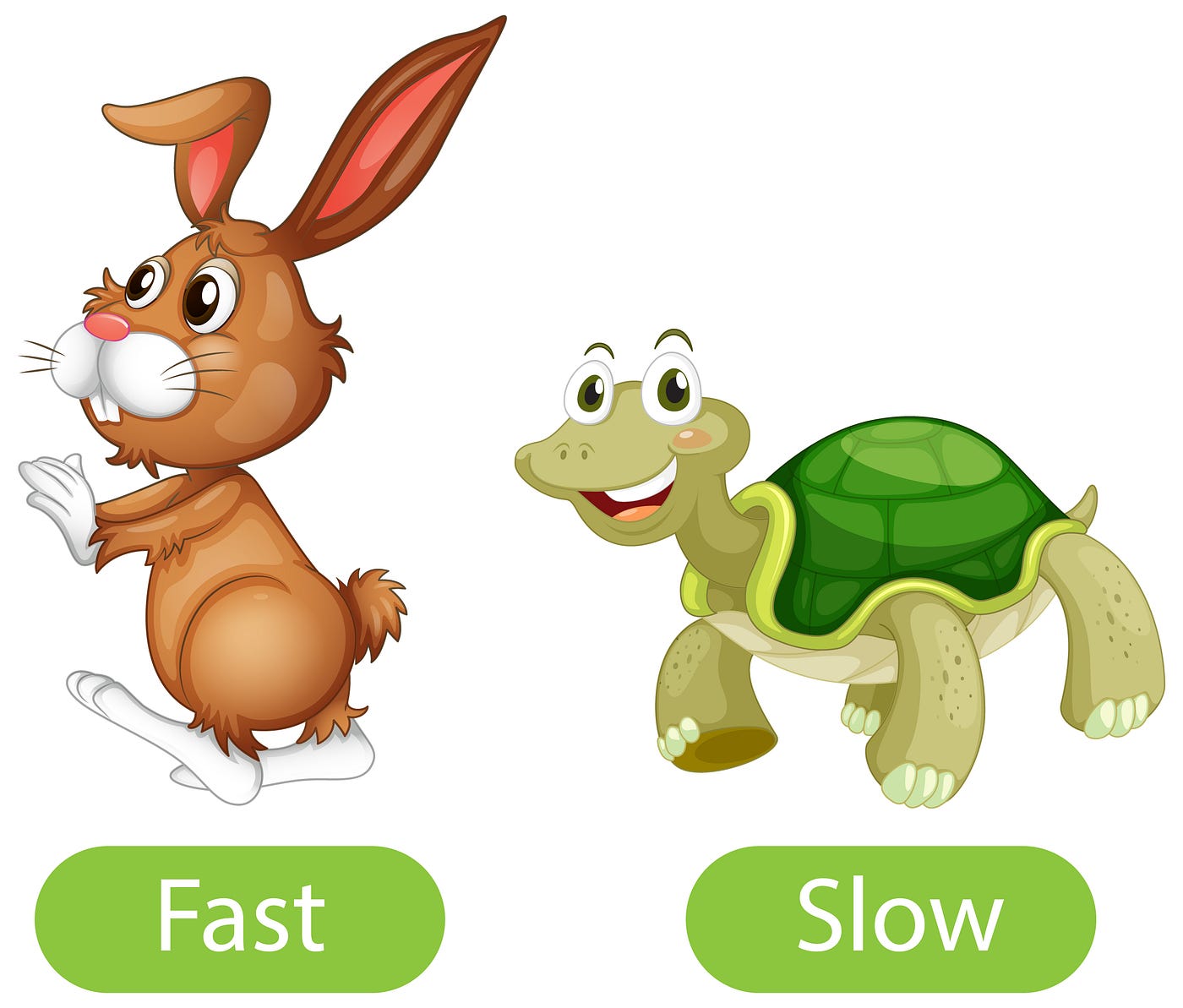 Slow Tortoise Cartoon