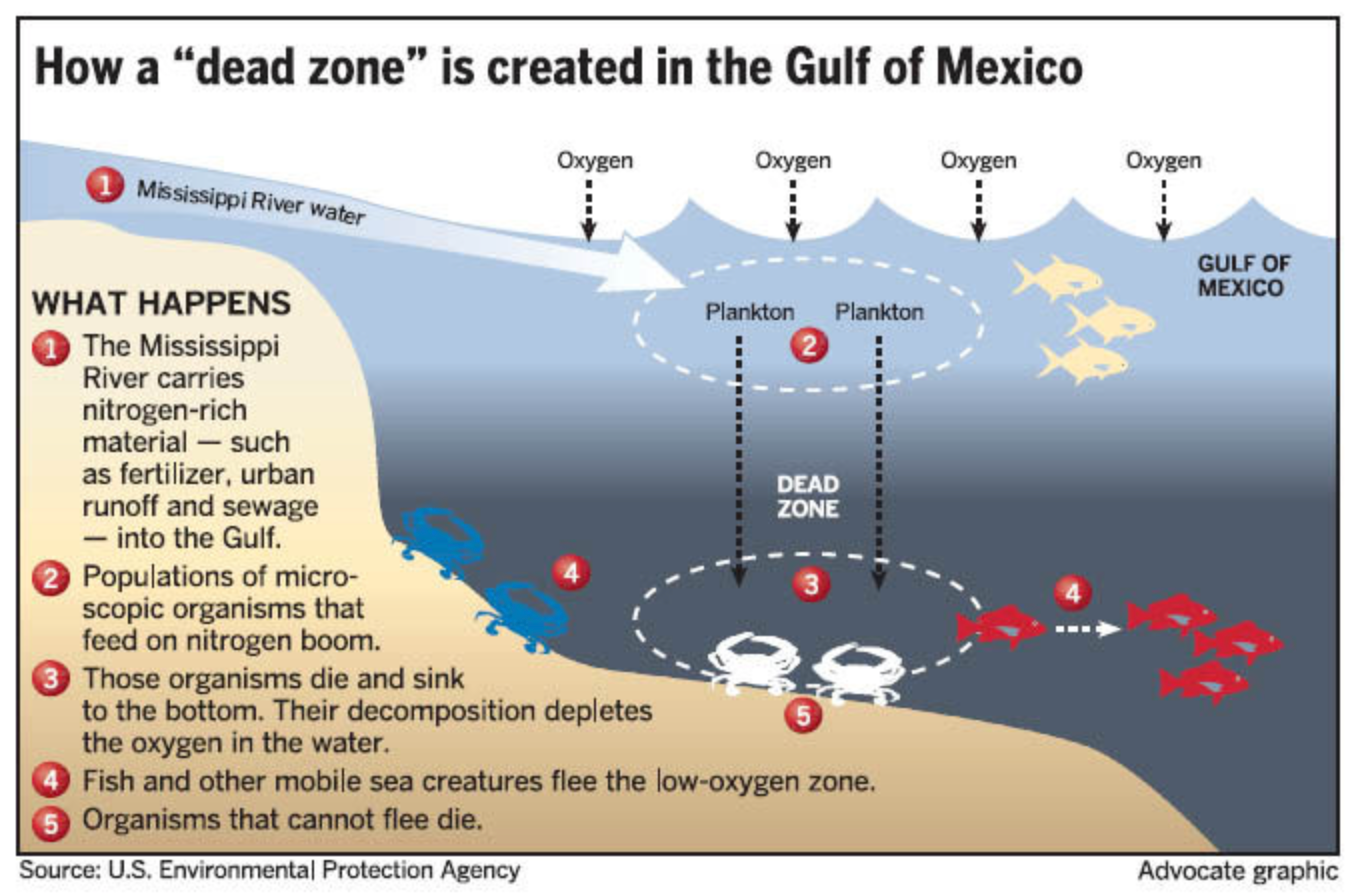 What Are Dead Zones In The Ocean