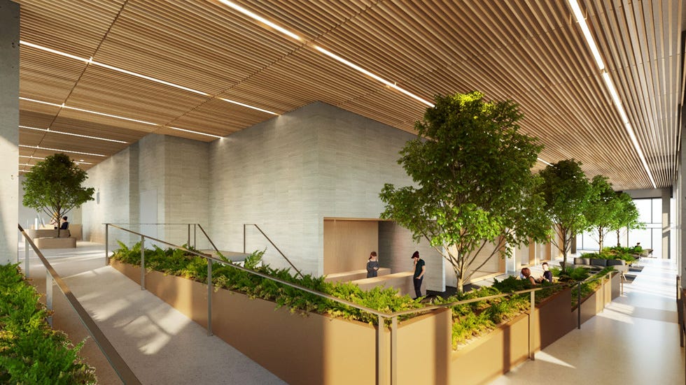 Interior Da Sede Da Apple