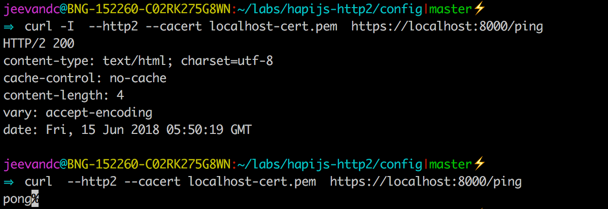 [译]探索 http2（第 2 部分）：使用 node-http2 核心和 hapijs | ChenSoul