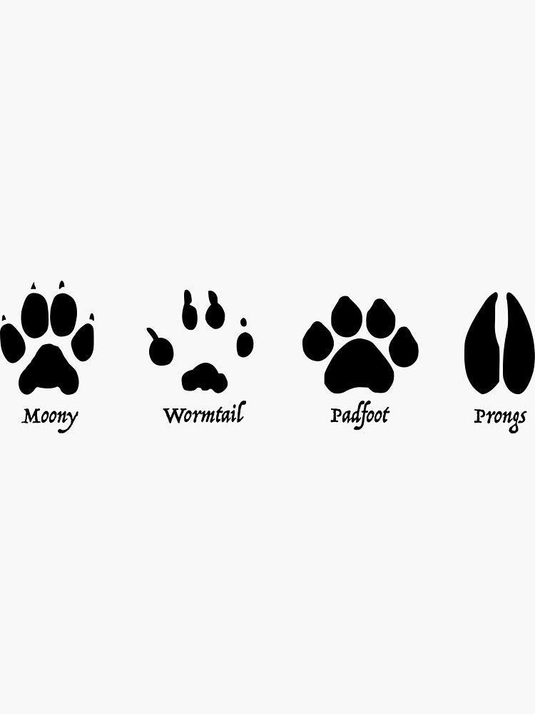 Moony Wormtail Padfoot And Prongs Animagus
