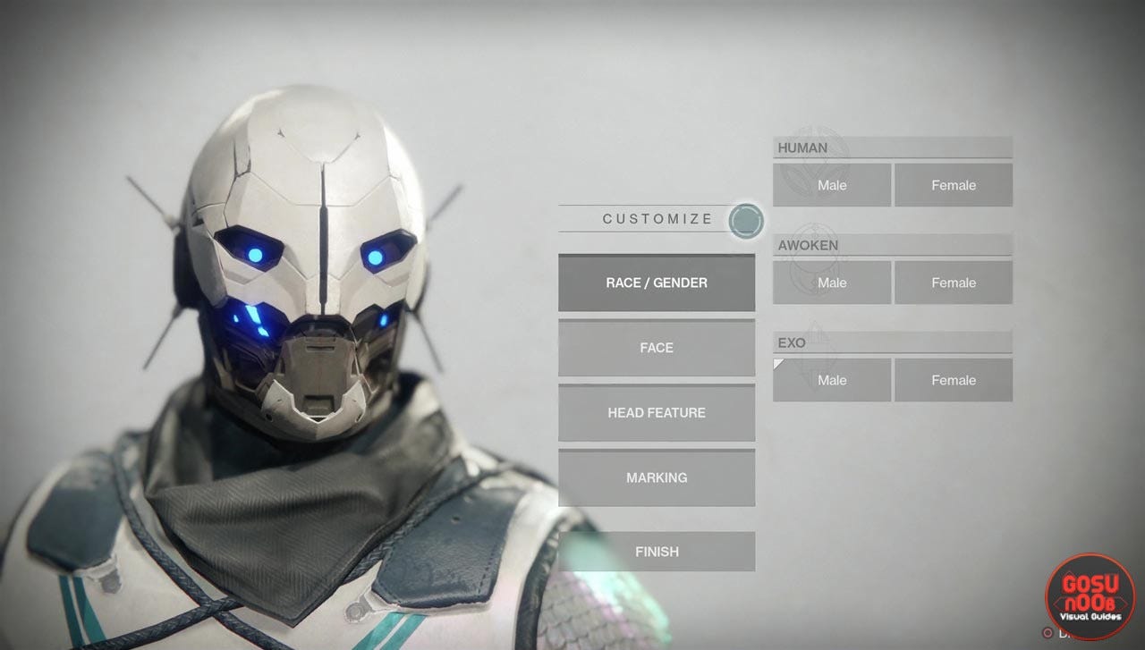 Destiny Exo Character Creation