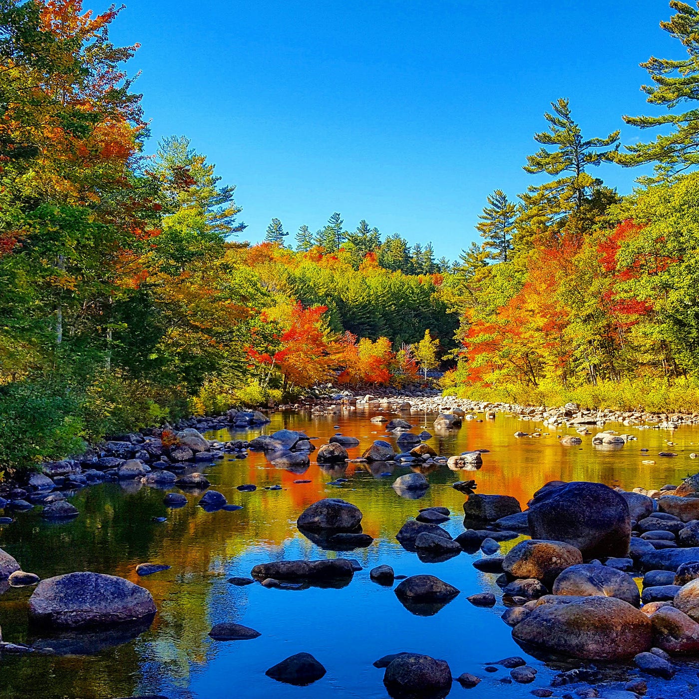 Portland Maine In The Fall