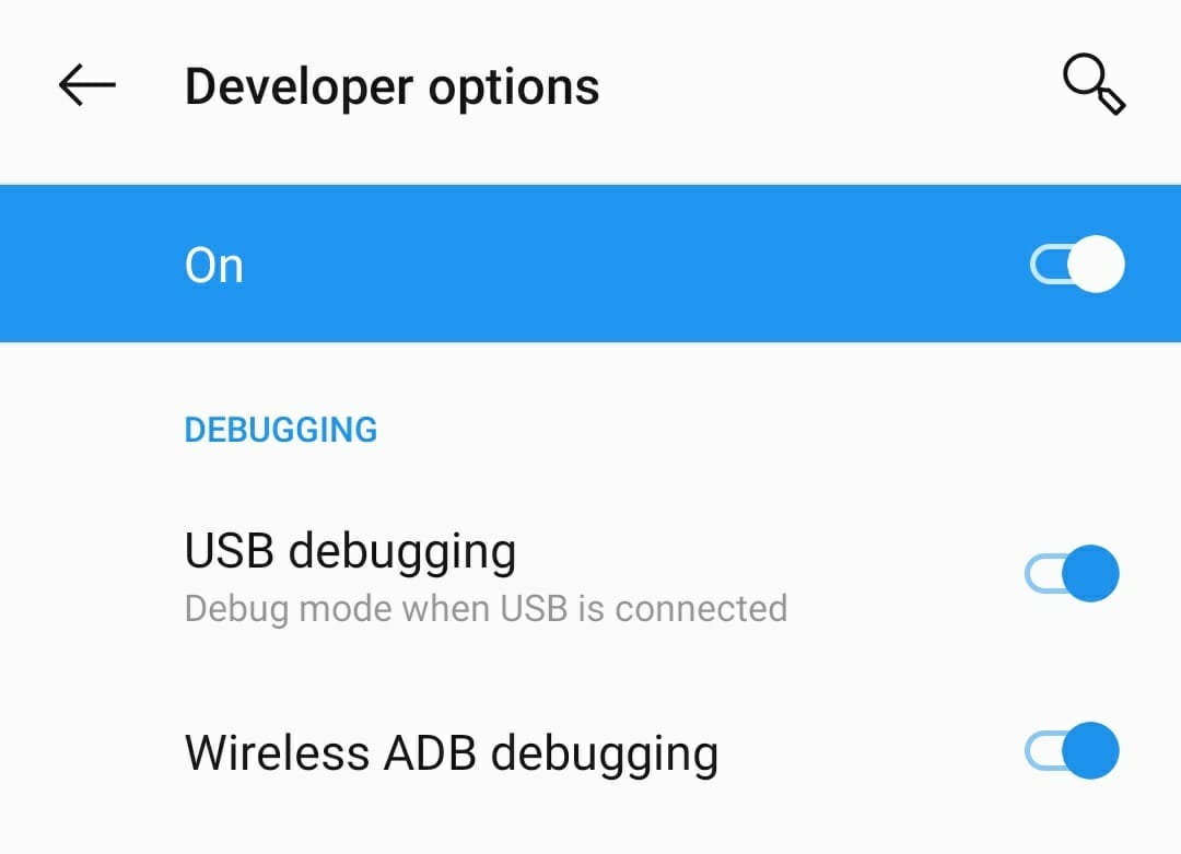 Computer Debugging Mode