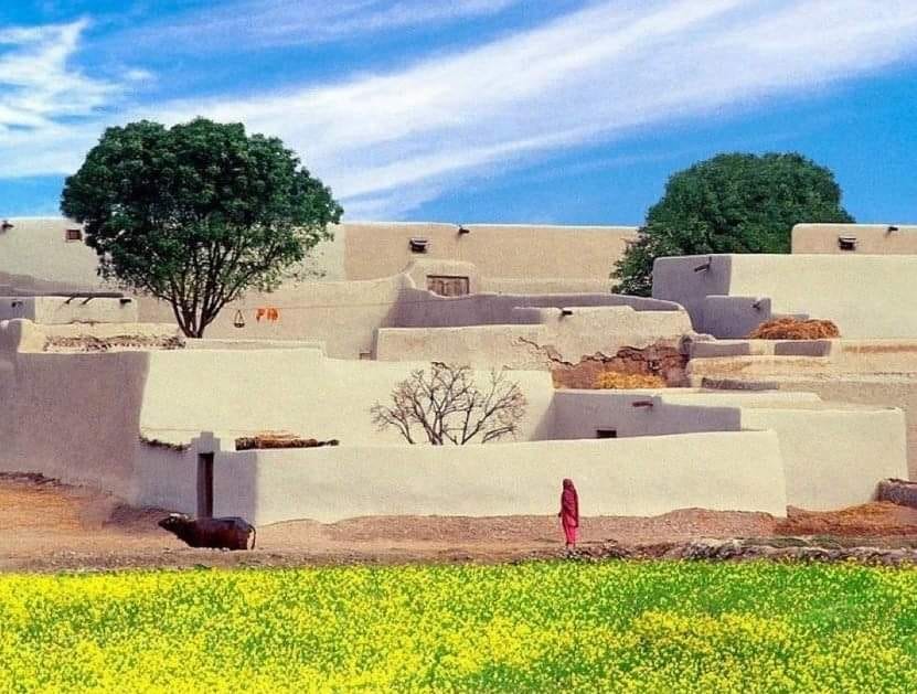 Pakistan Village Houses