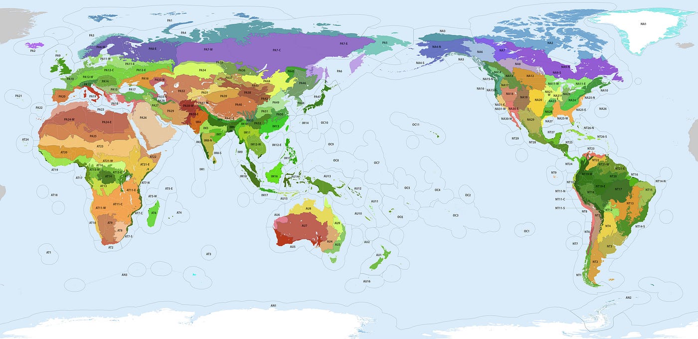 World Globe Nature