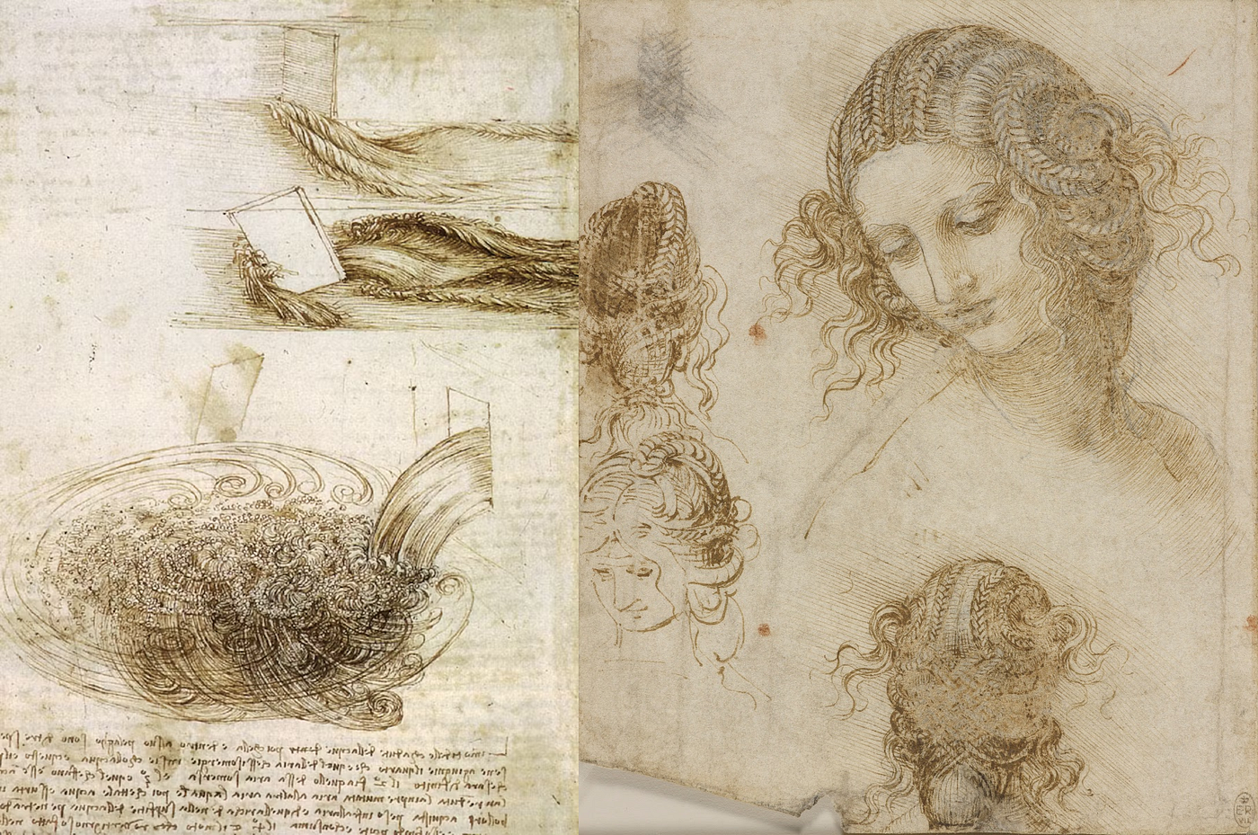 One Interest The Drawings Of Leonardo Da Vinci