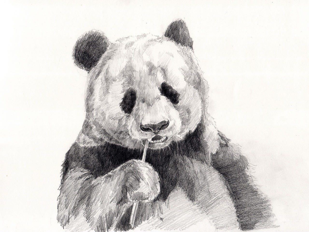 From Sketch to Brilliance Lesson 2 Shading Techniques by Word Craftsman Medium