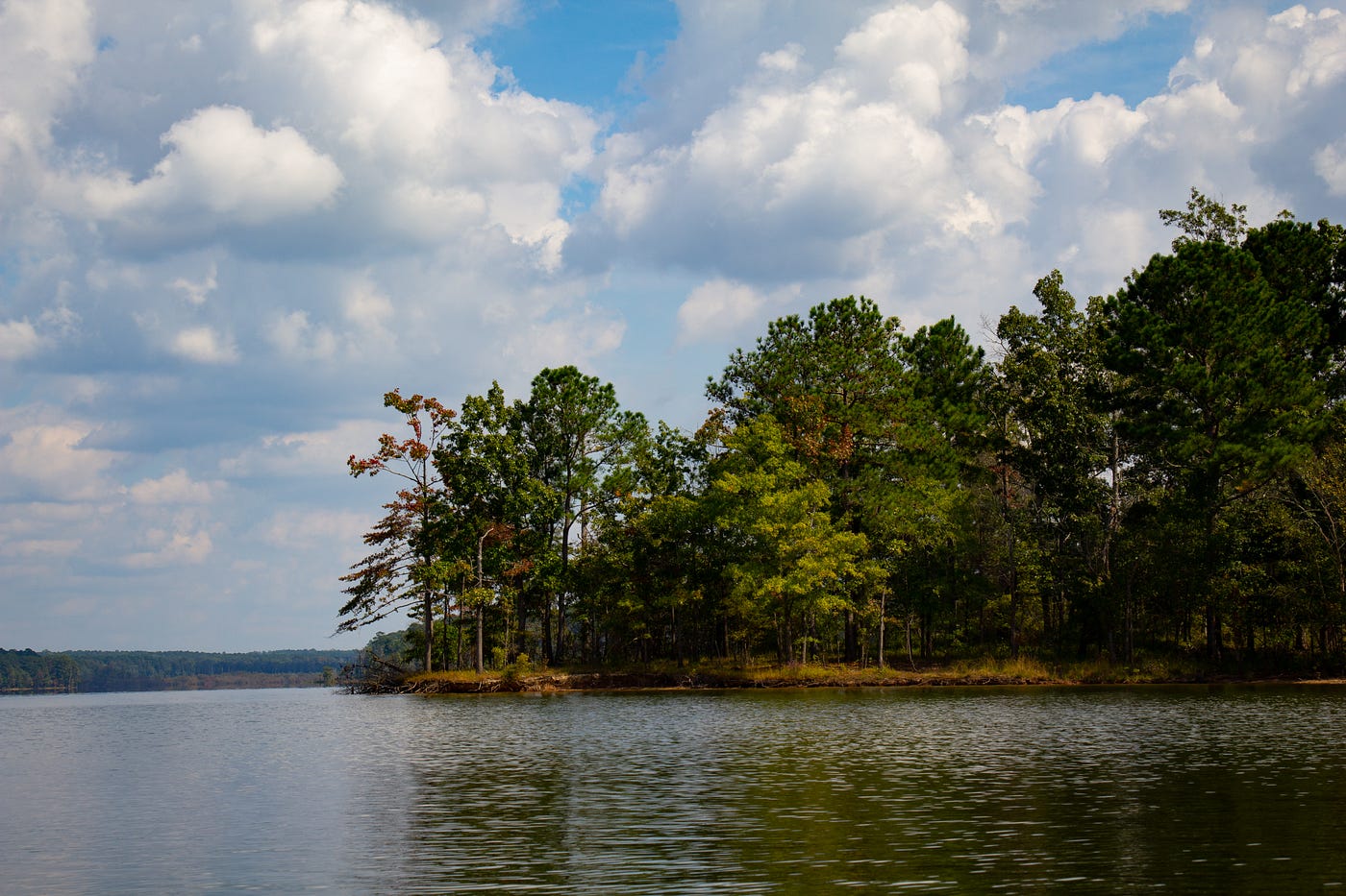 Jordan Lake State Recreation Area