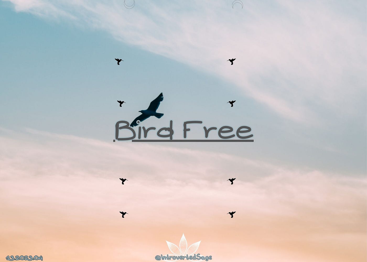 Quotes About Being Free Like A Bird