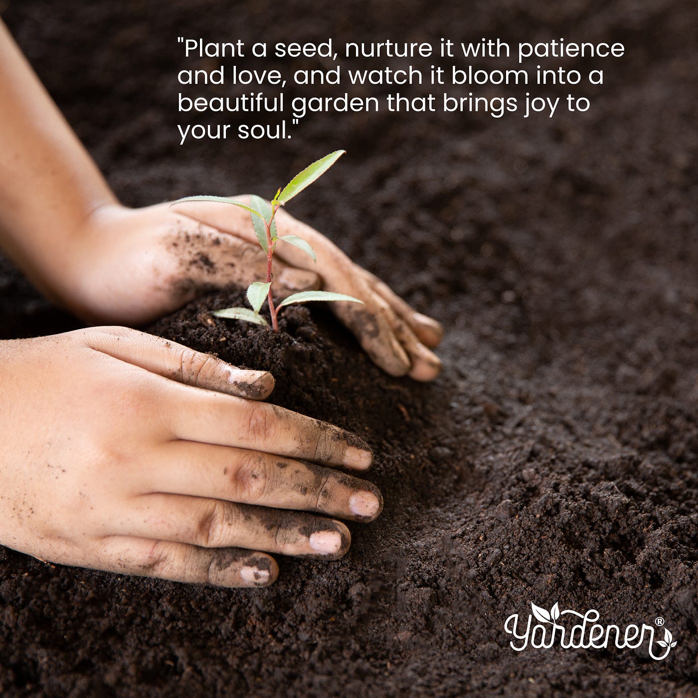 Gardening Soul Quotes 60 Inspirational Quotes About Gardening Food
