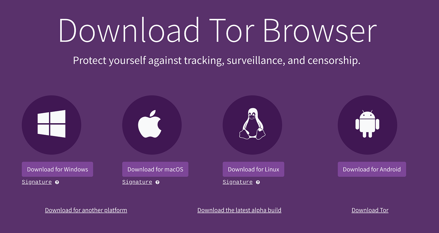 Lights On, Hazards Off: Exploring The Dark Web