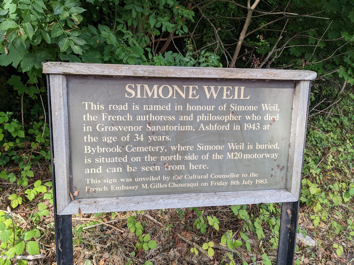 Logotipo De Simone Weil