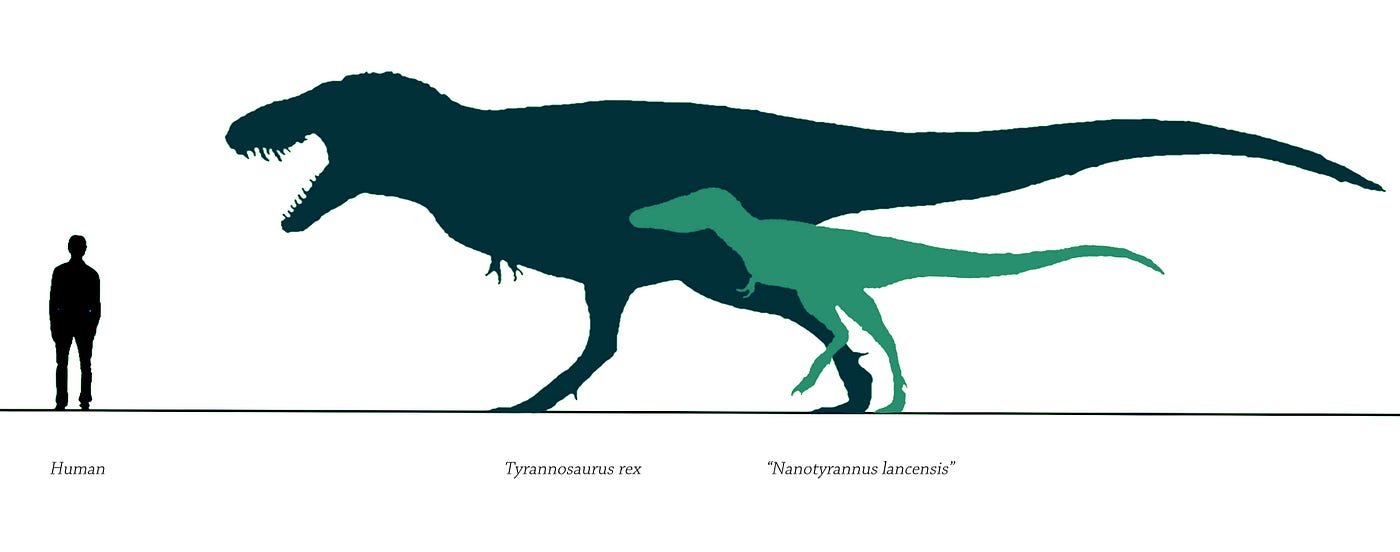 Taobh Istigh Carr T Rex