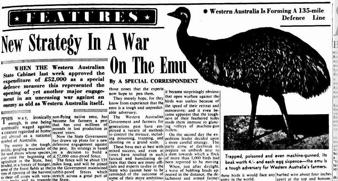 Emu Bird Quotes The Great Emu War. Day 44 / 365 | By Pranav Tiwari