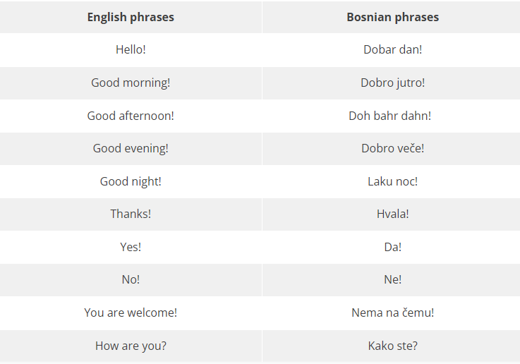 Bosnian Language