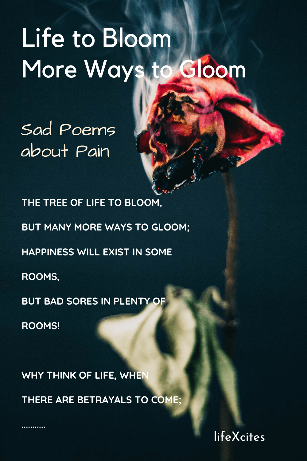 Sadness Poems About Life