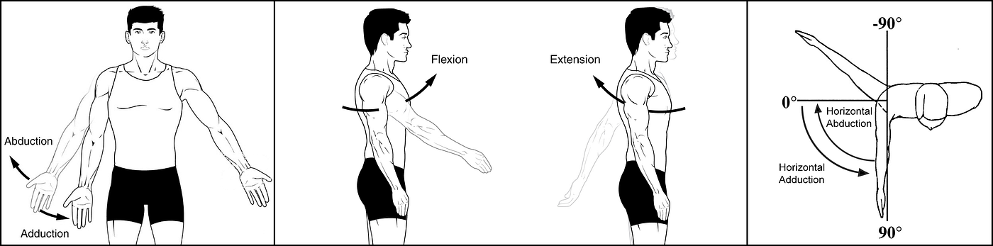 Shoulder Horizontal Abduction And Adduction