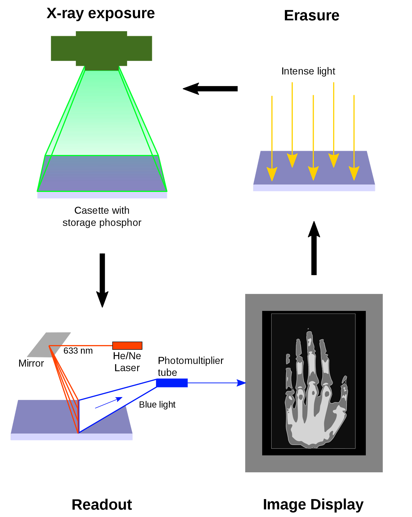 Charge Coupled Device Radiography Development Of Innovative X Ray
