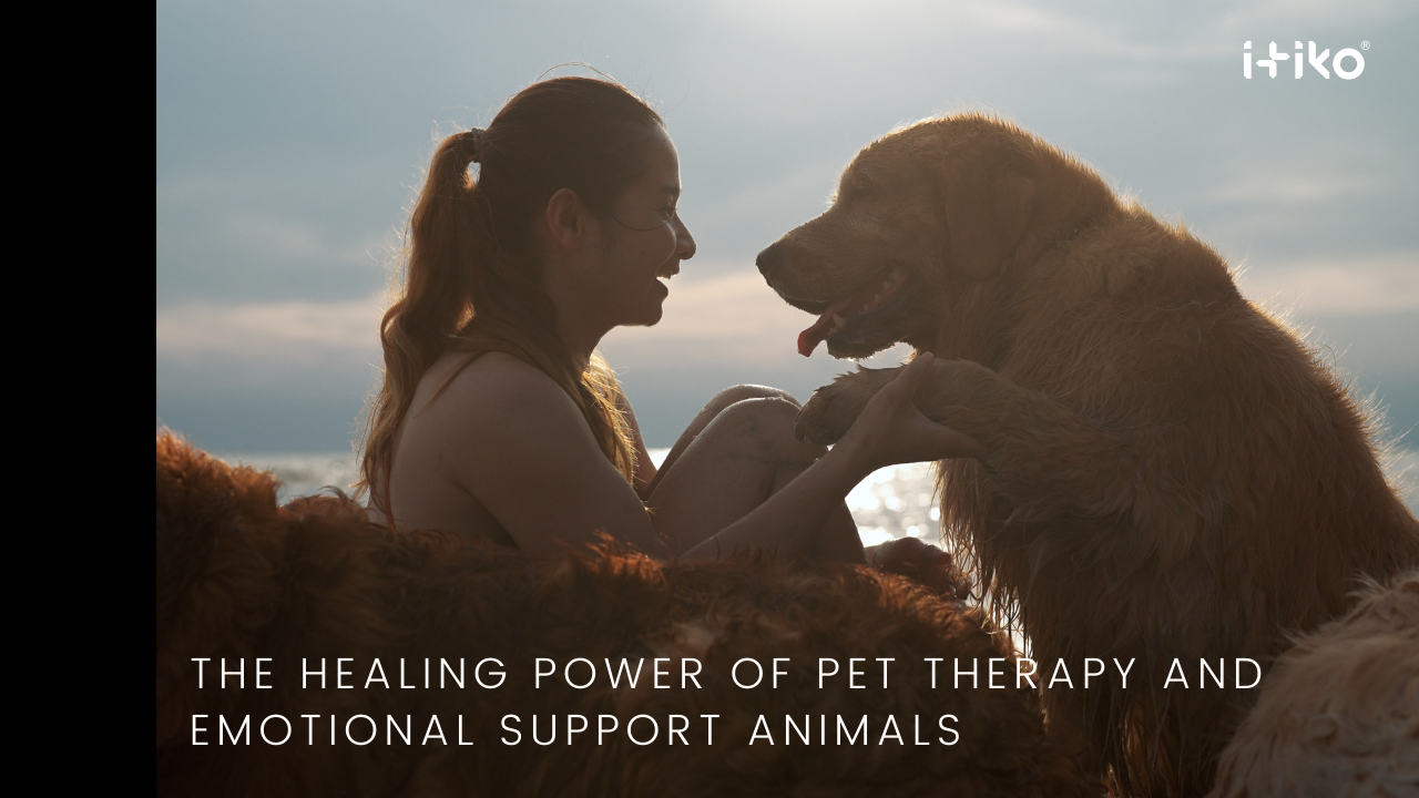 Friend Support Animals