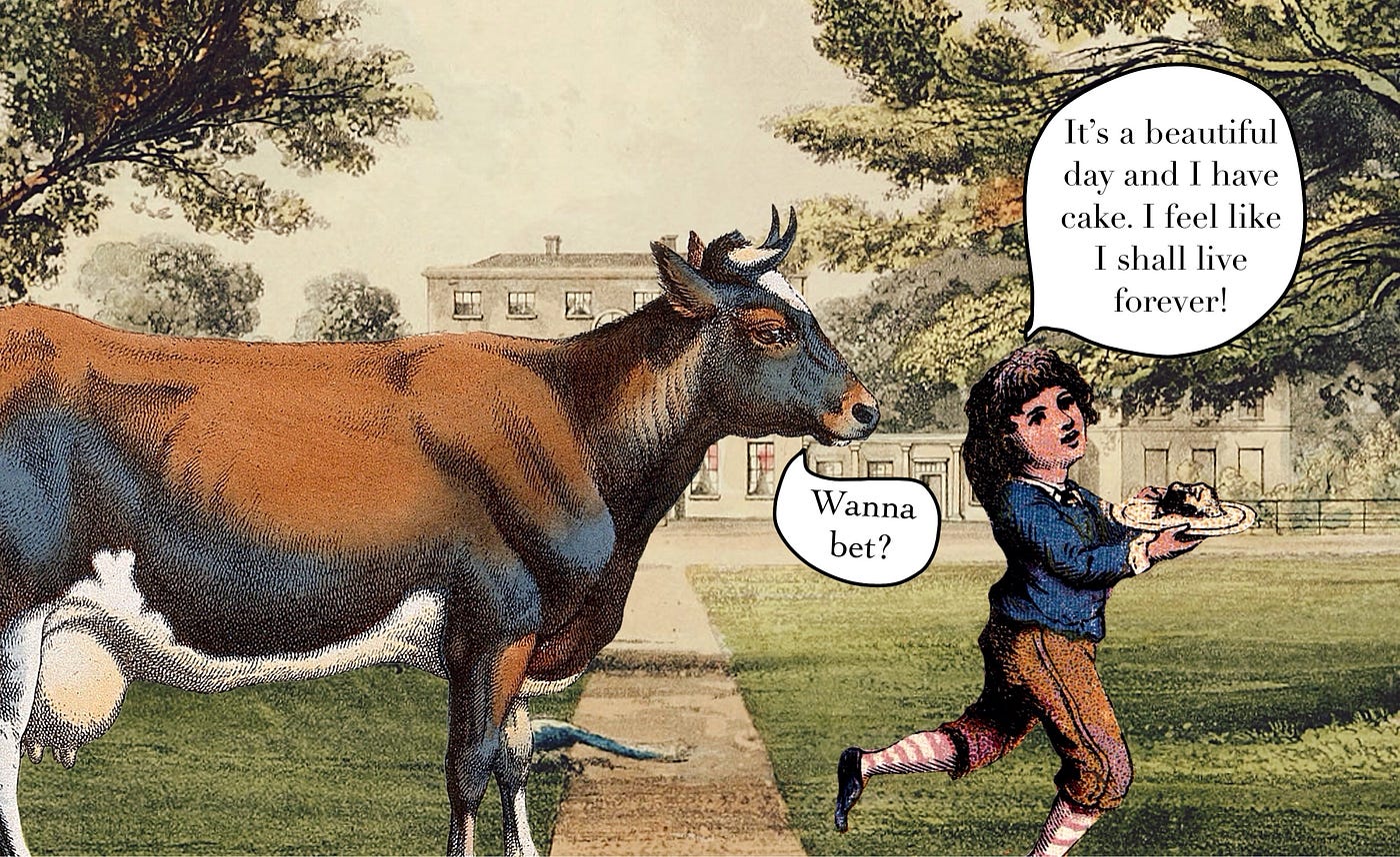 Killing Cows Cartoon