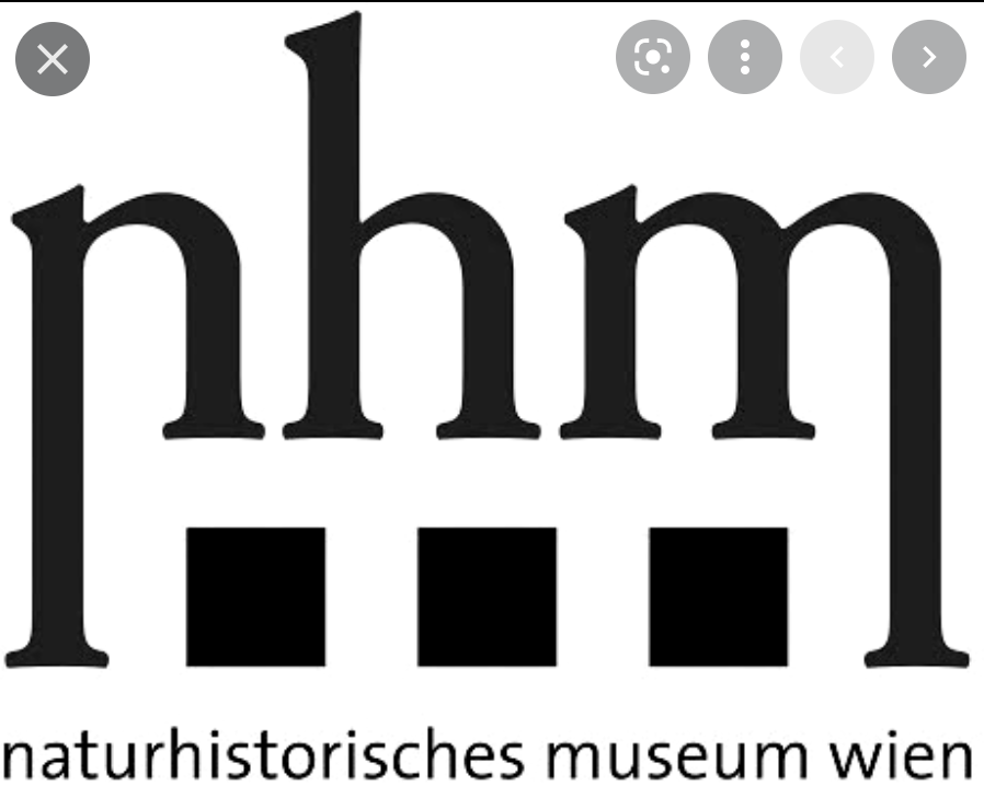 Natural History Museum Logo