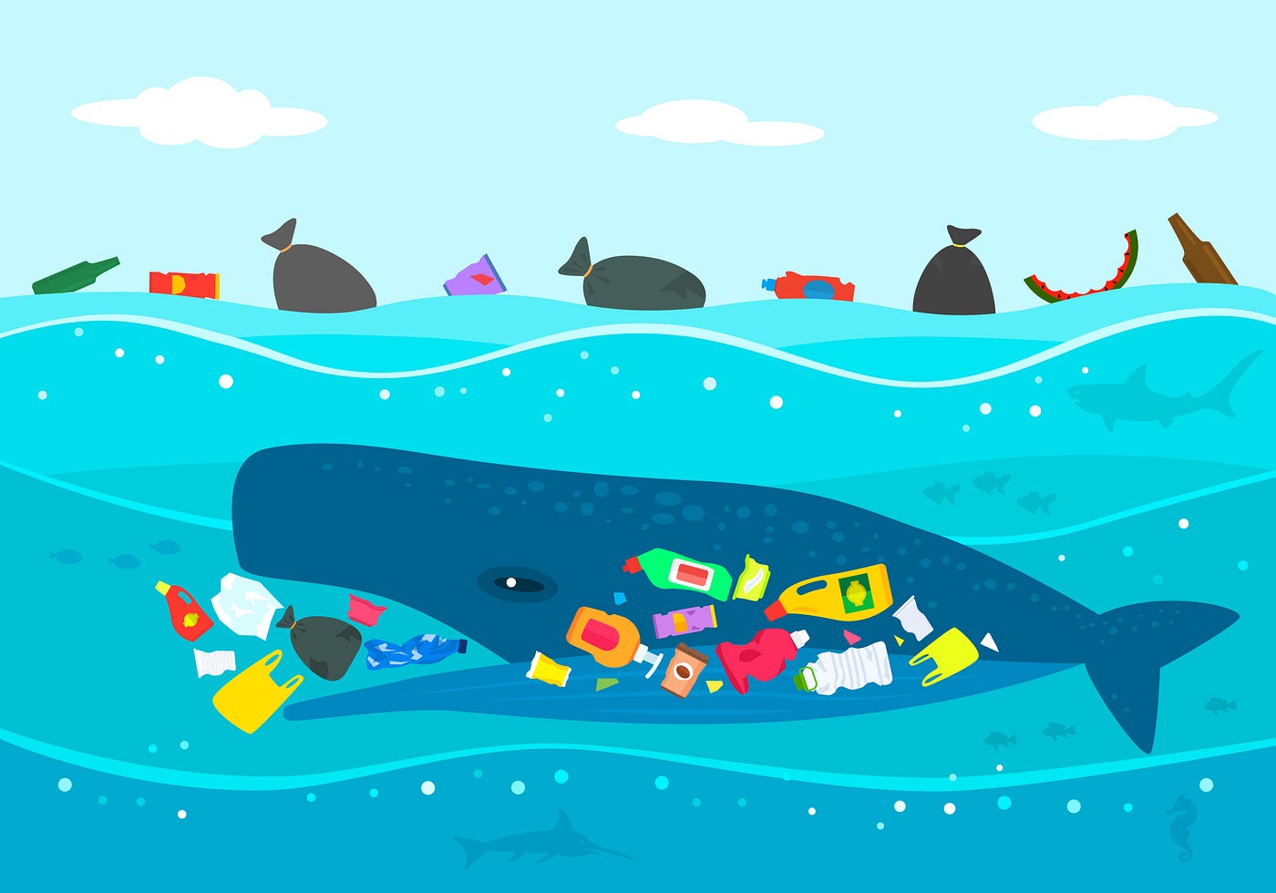Sea Animals Eating Plastic 3 Most Important Ocean Conservation Issues