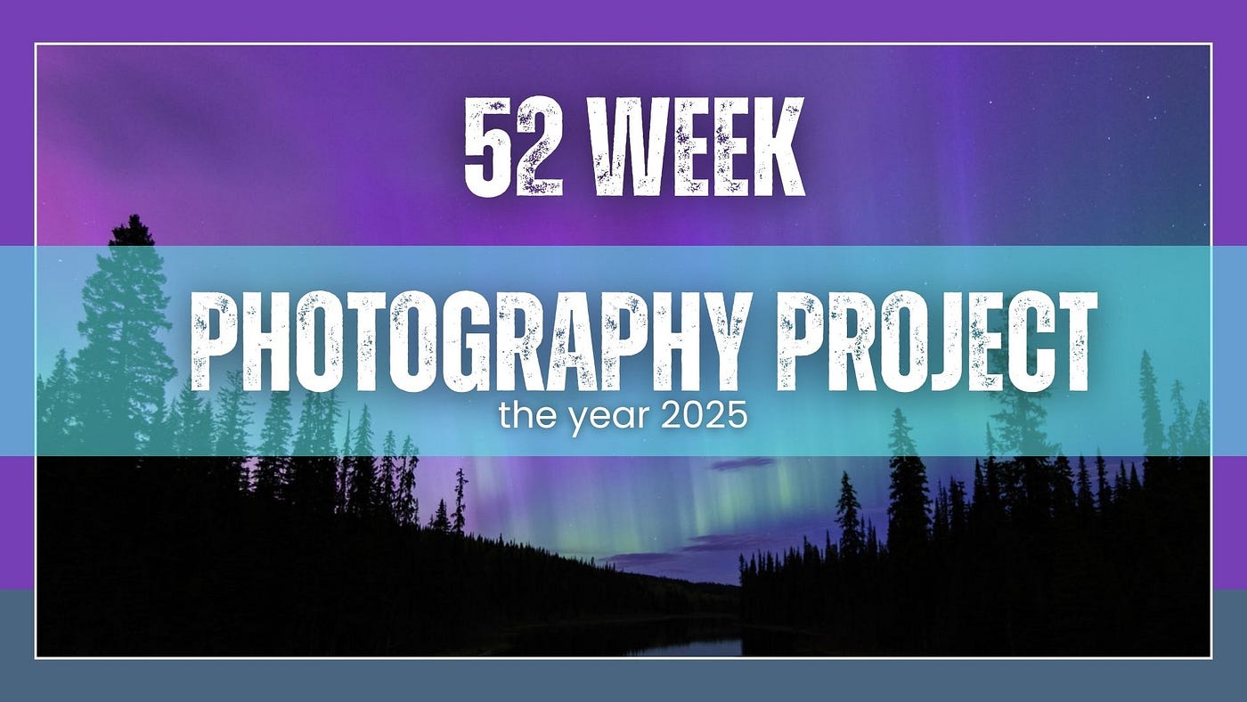 52 Week Photography Project (January 2025 edition)