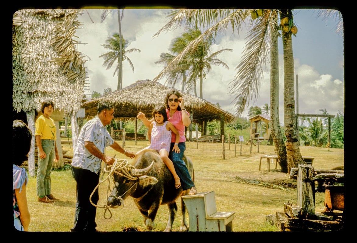 Chamorro Antigo Things To Do In Guam | Restaurants, Attractions, And