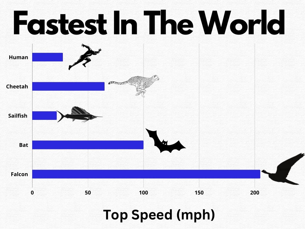 Fastest Animal On Earth According To Their Ranges
