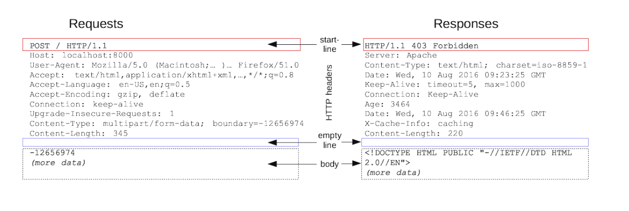 Http Protocol Header