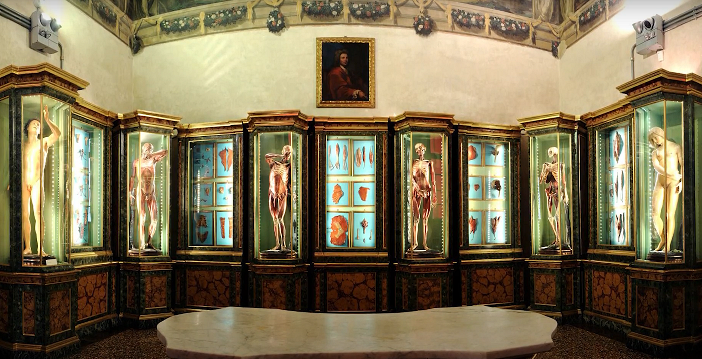 Bologna Anatomical Museum