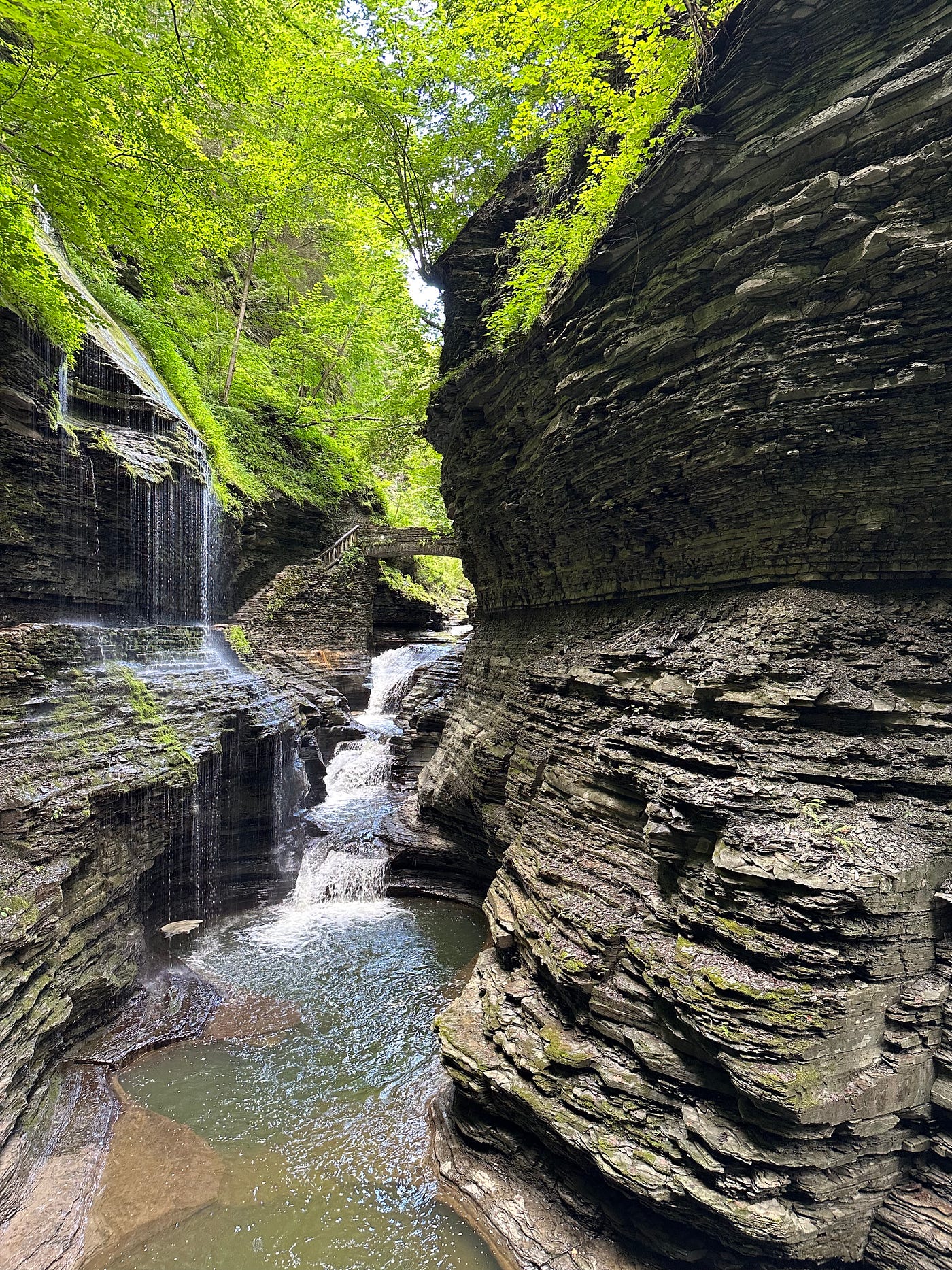 Canyon Zeichnung
