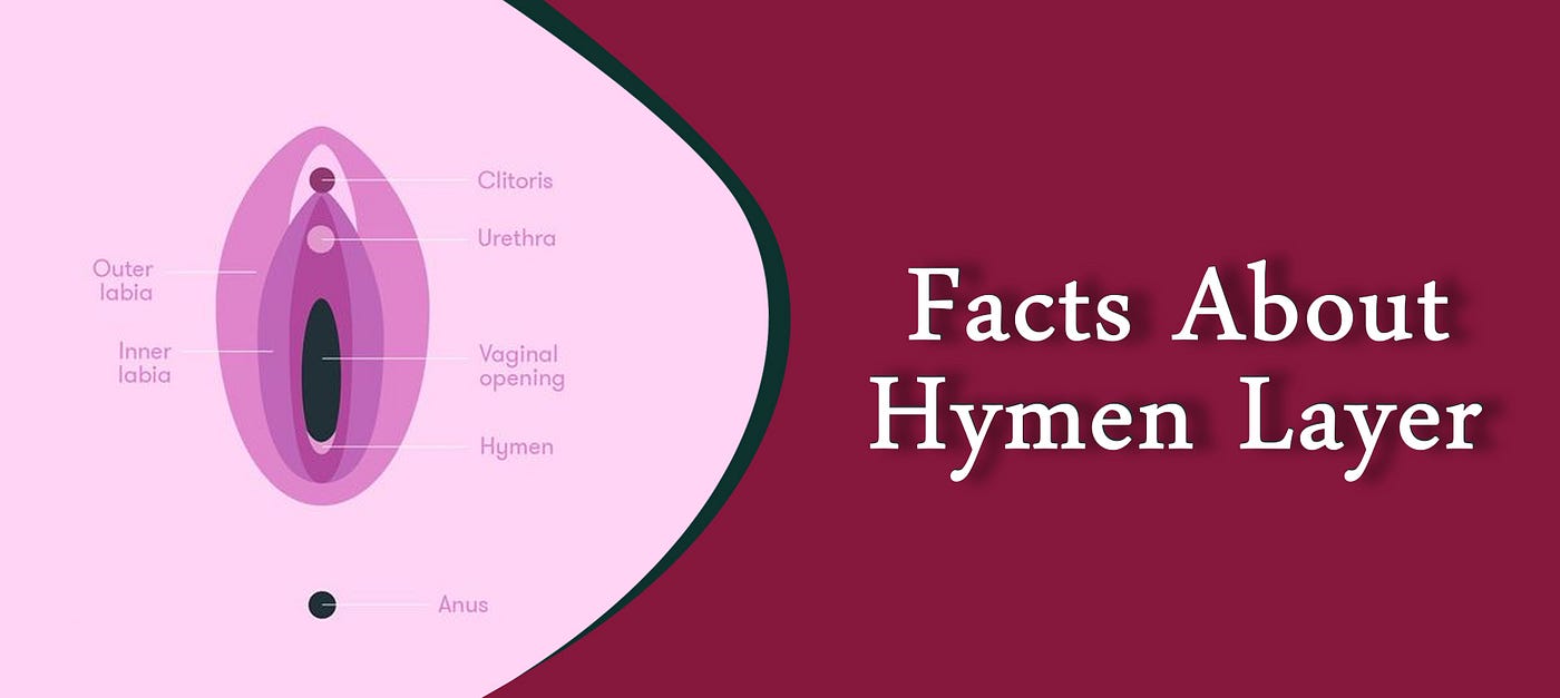 What Is A Hymen And What Does It Look Like Flo 49 Off