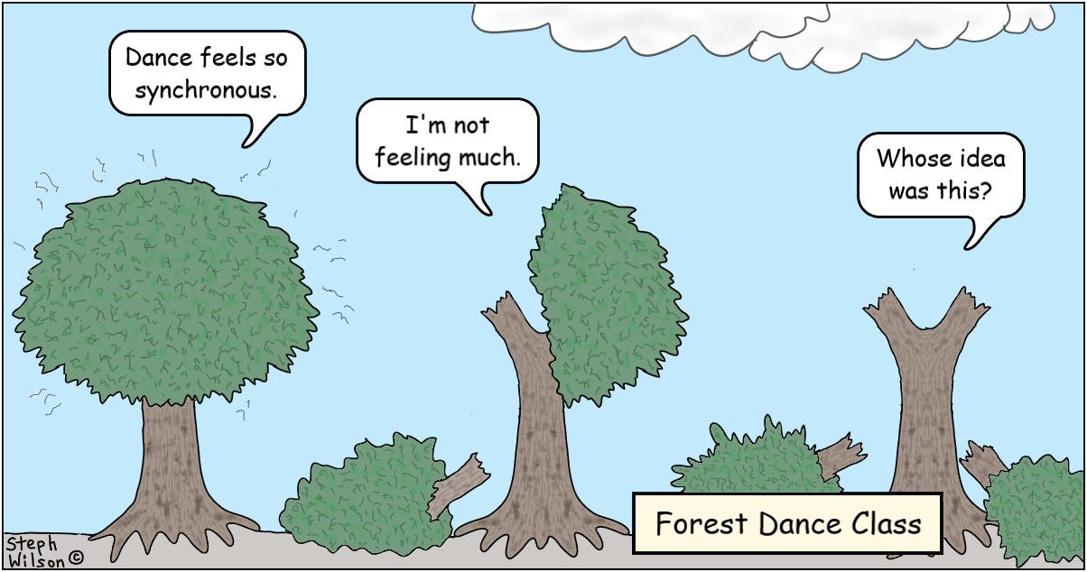 Dance Lessons Funny