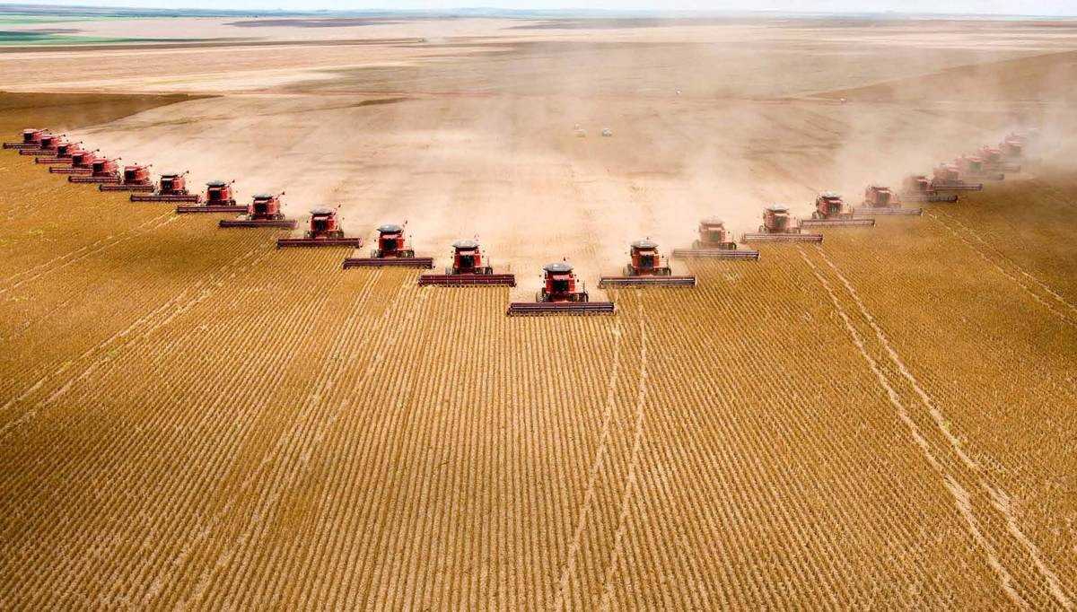 Large Industrial Scale Farming Large Scale Apple Farming In Industrial