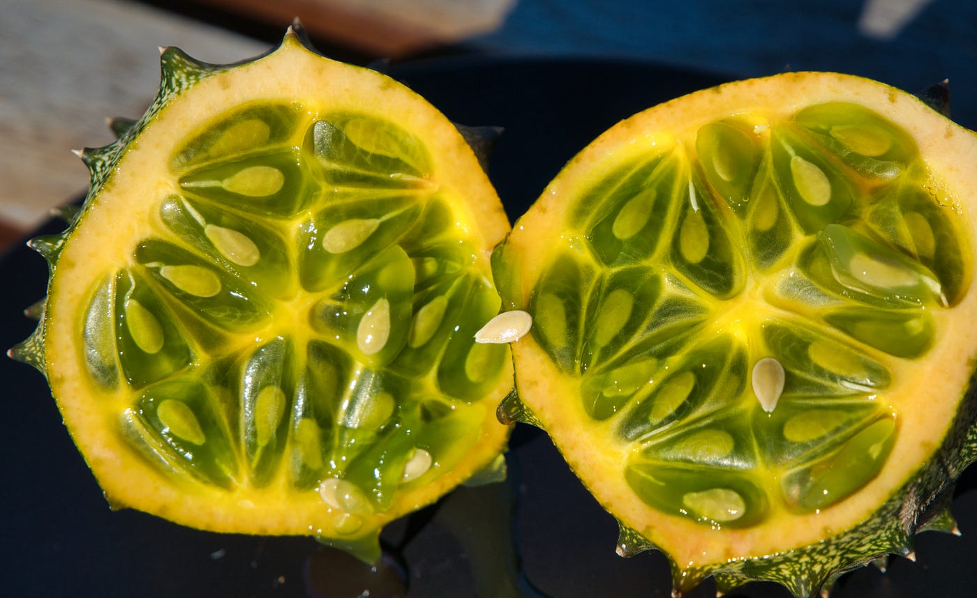Horned Fruit Taste