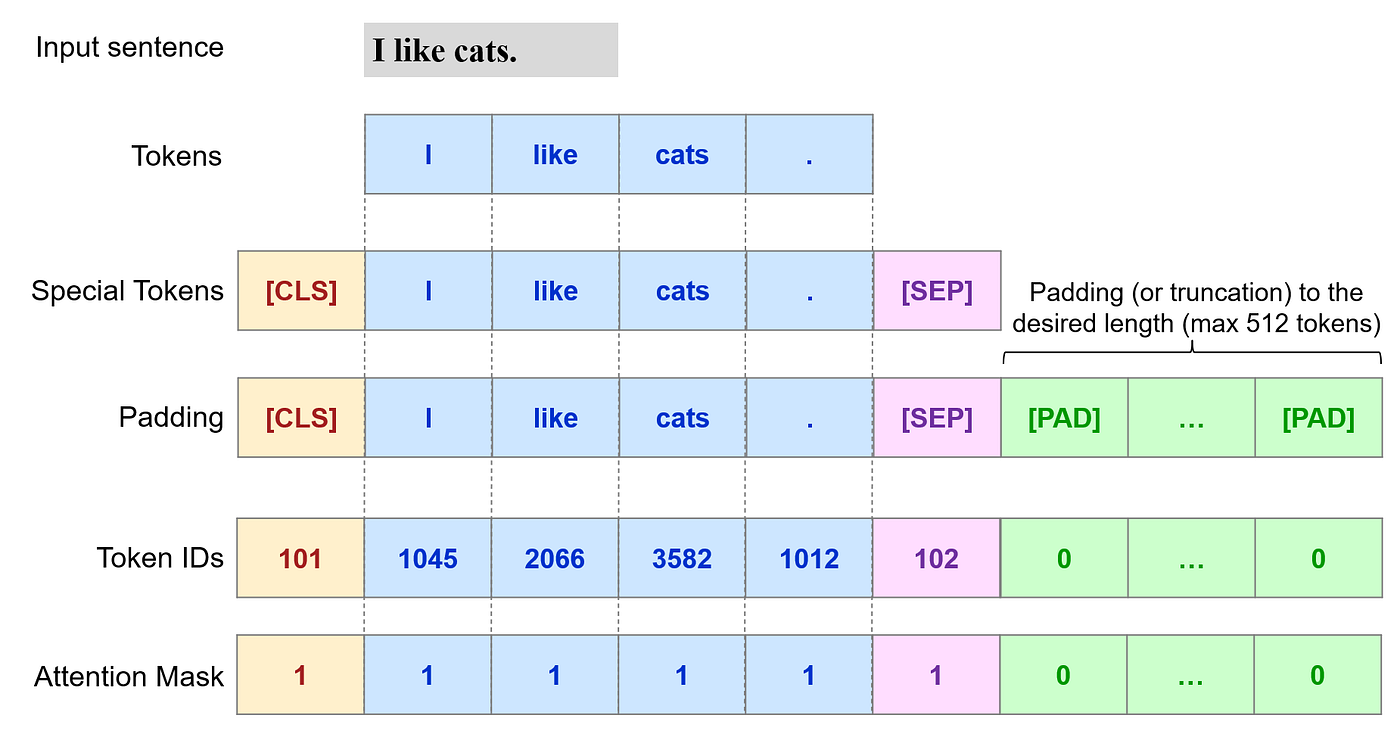 fine tuning bert for text classification pytorch