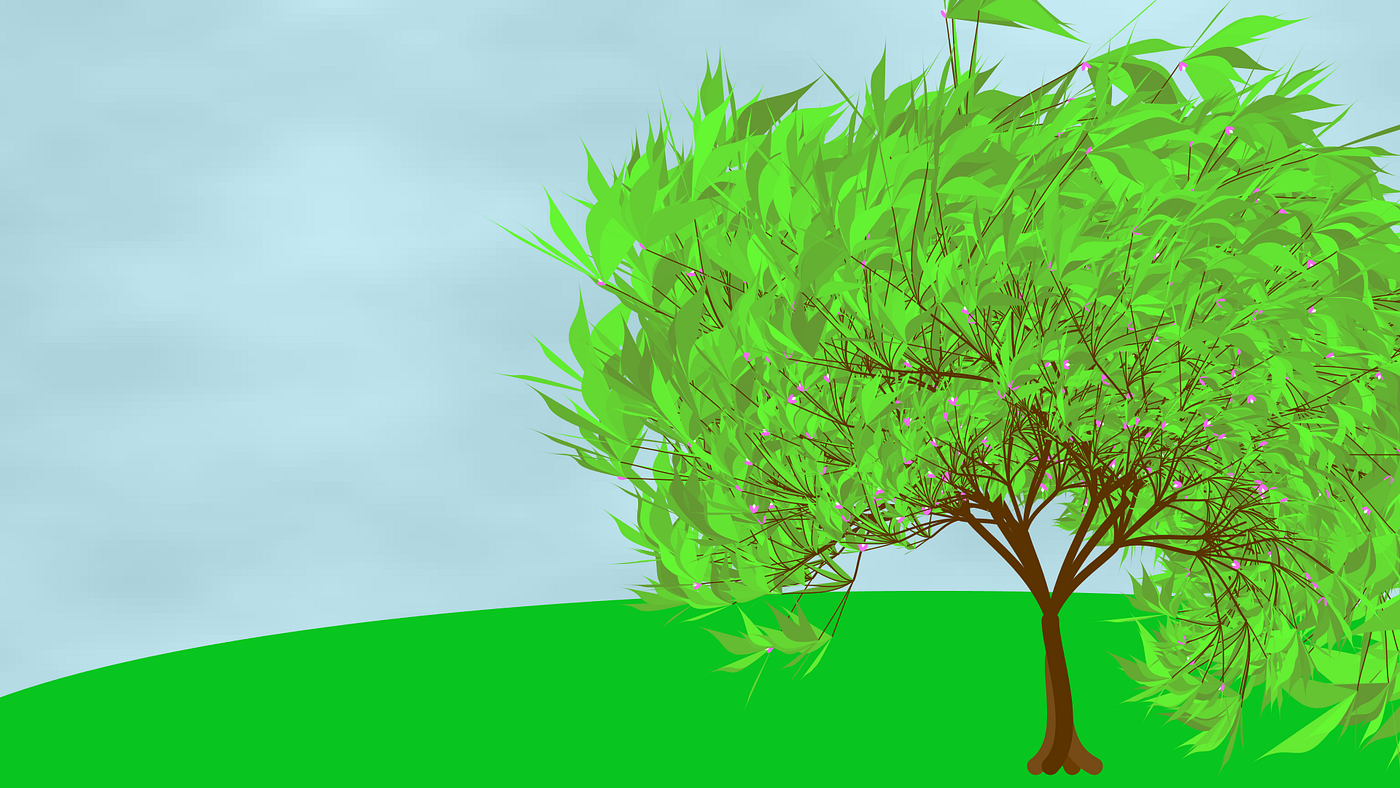 How To Draw A Tree In Javascript