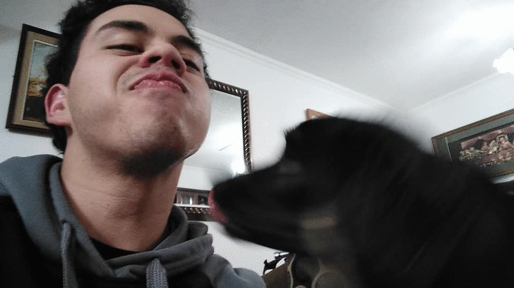 Lamiendo Gif