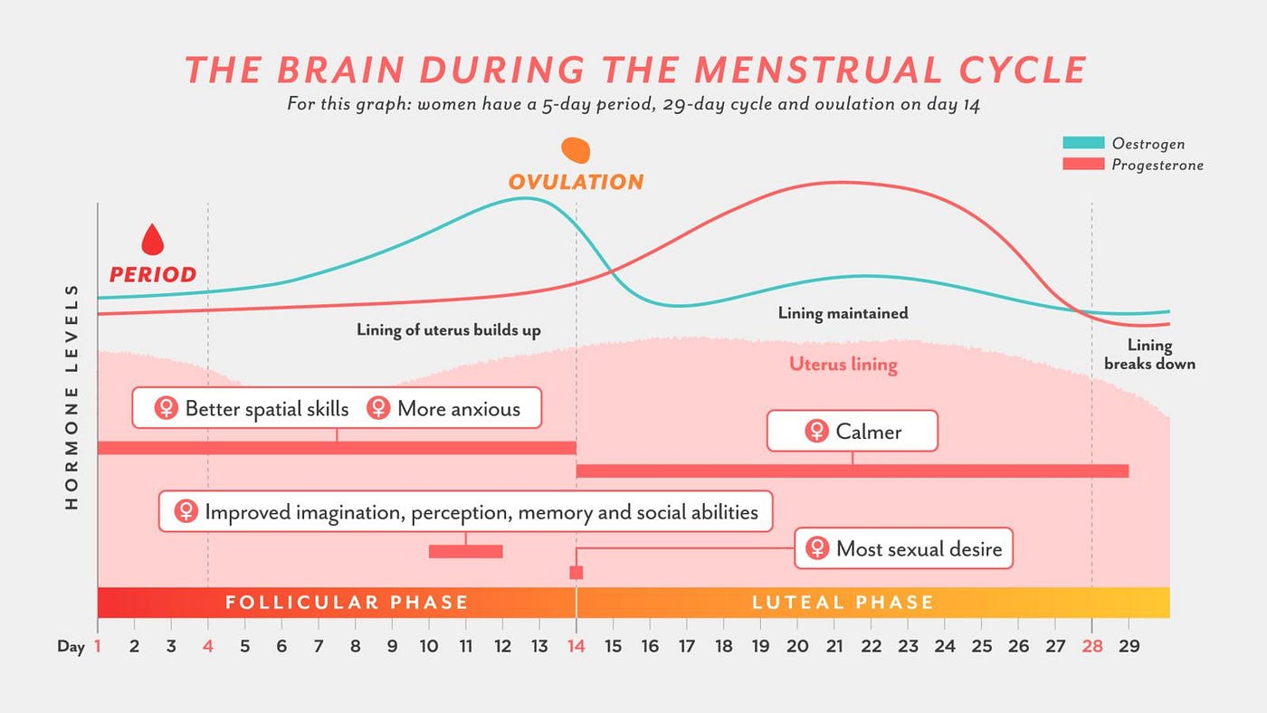 Period Level Flow Chart DFD Level 0 ( Data Flow Diagram) | Creately