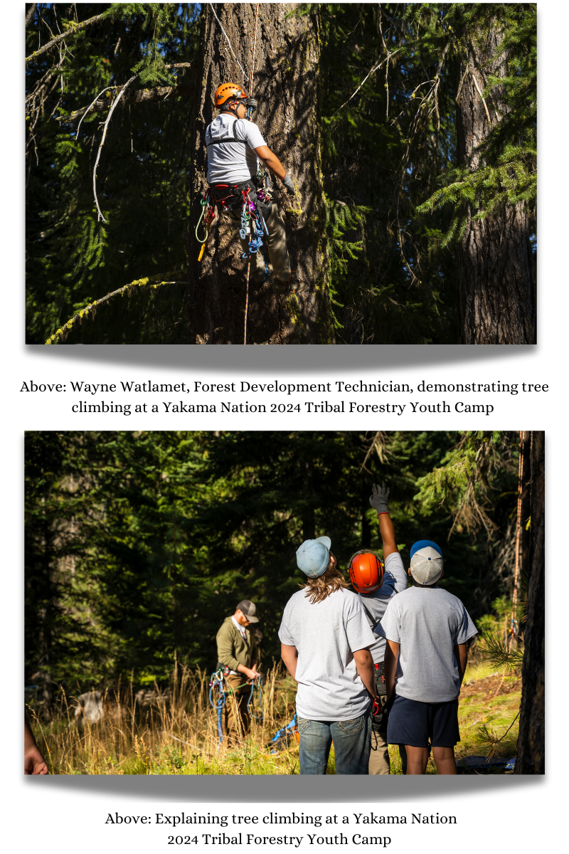 Yakama