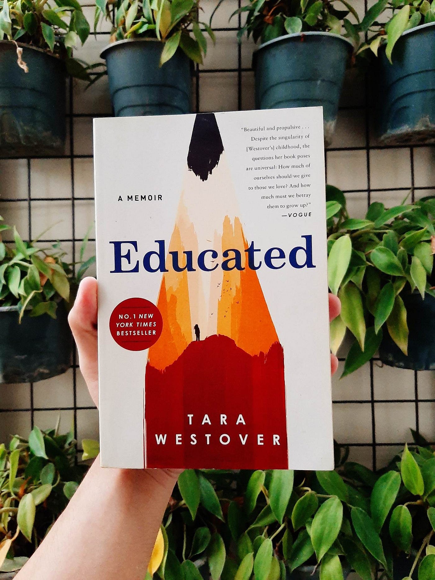 Book Review Educated Tara Westover