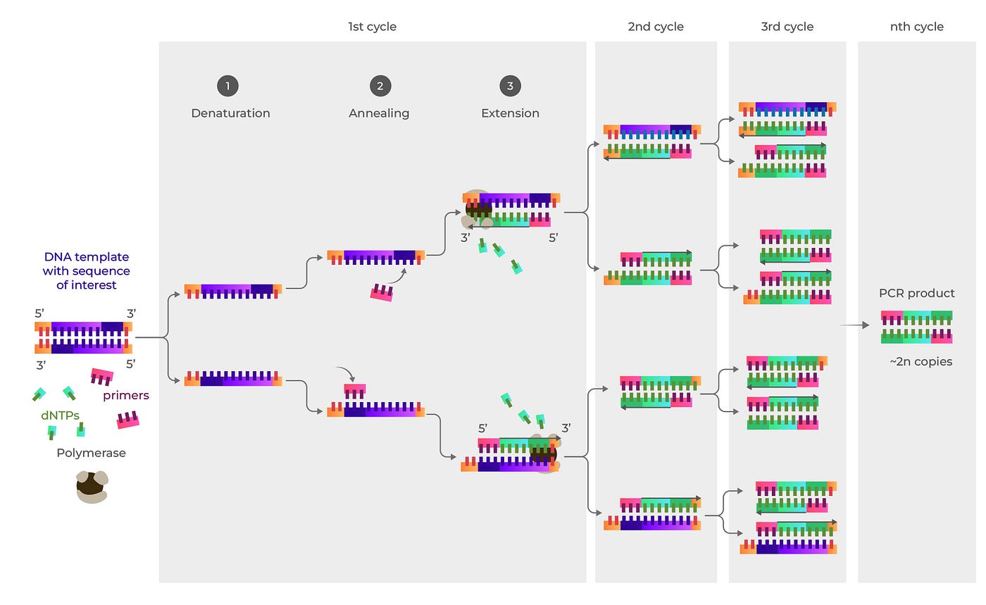 Electronic Pcr