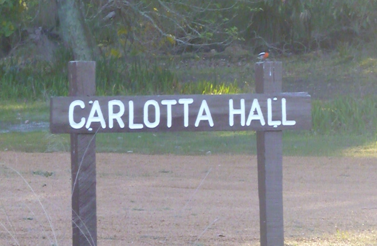 Carlotta Hall's Instagram, Twitter & Facebook on IDCrawl