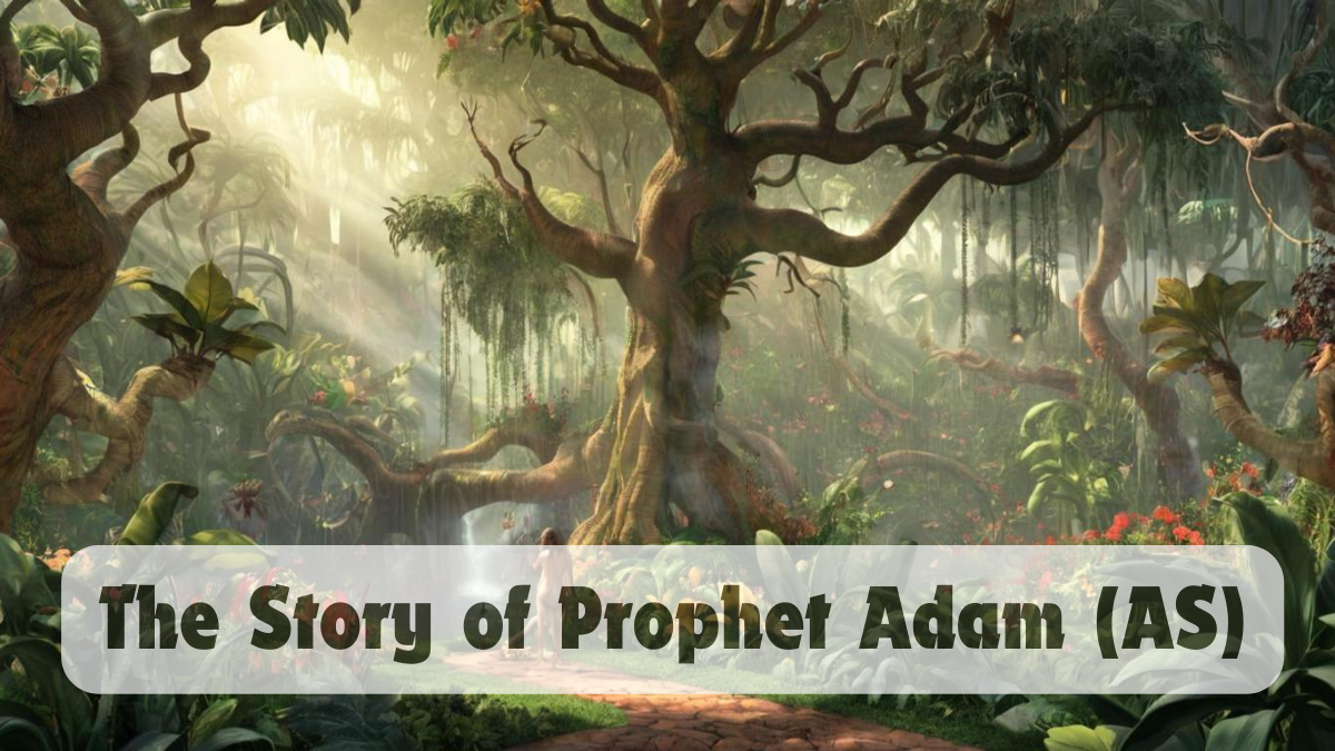Hazrat Adam Para Hazrat Muhammad Arvore Hazrat Adam AS Ki Qabar