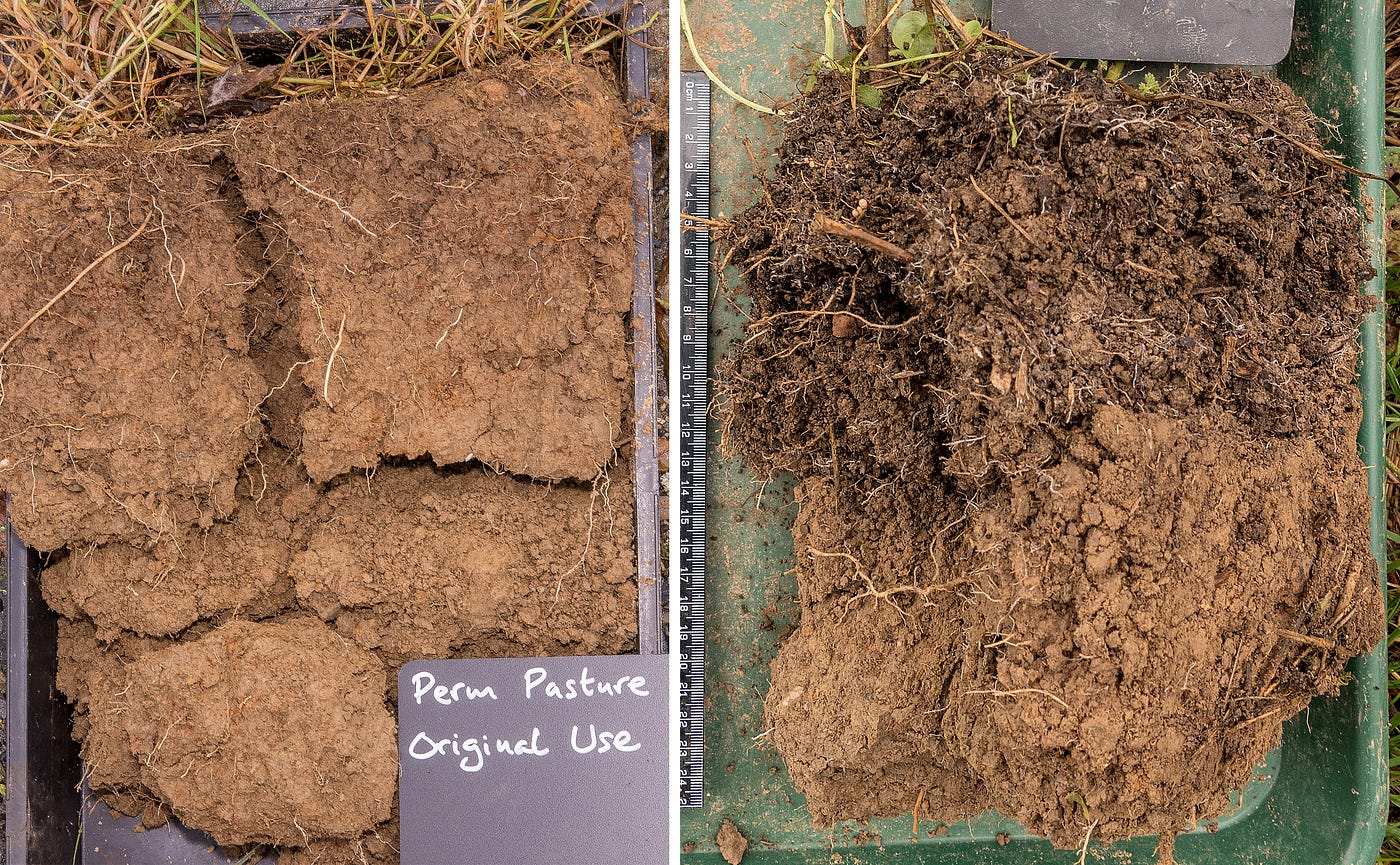 Is Potting Soil Homogeneous Or Heterogeneous: Key Facts Revealed - My ...