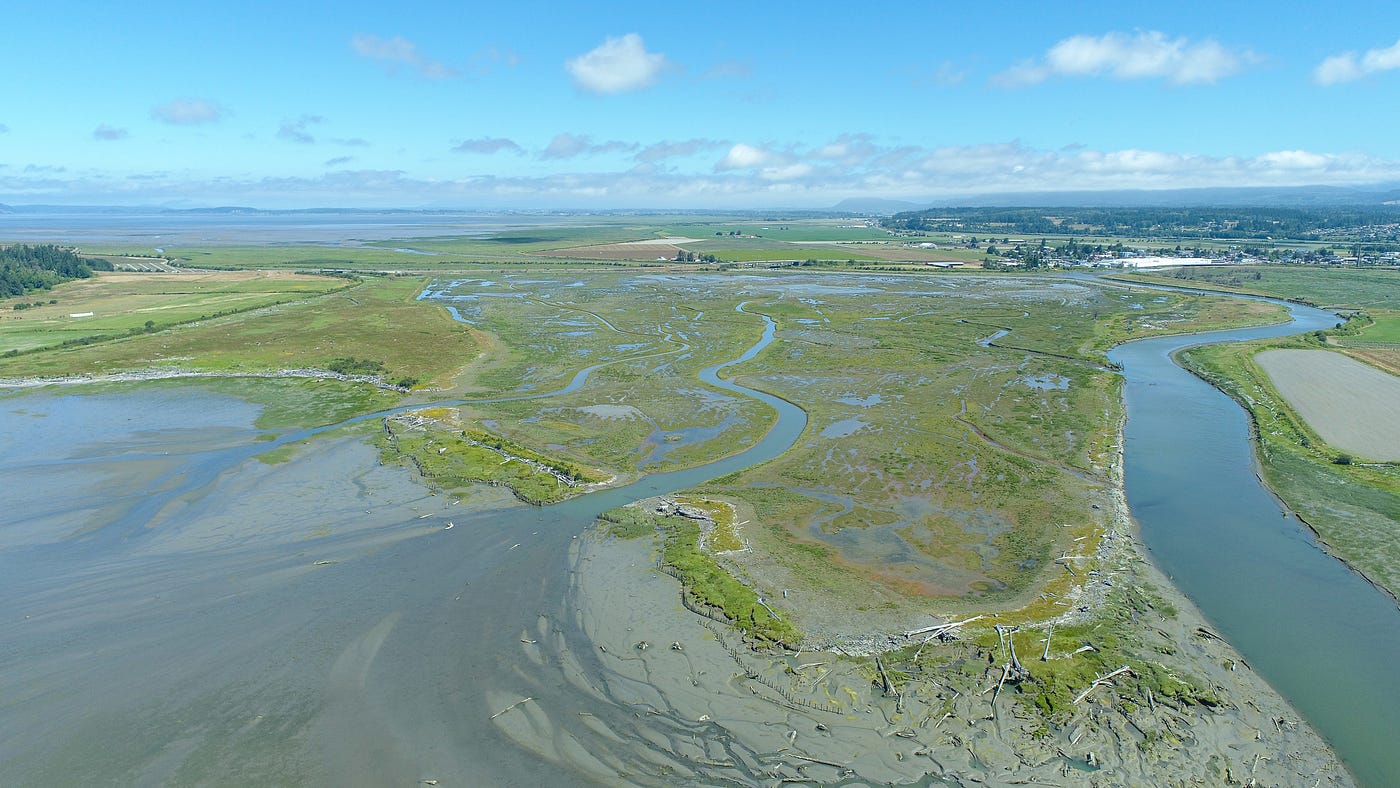 Estuarine And Coastal Flood