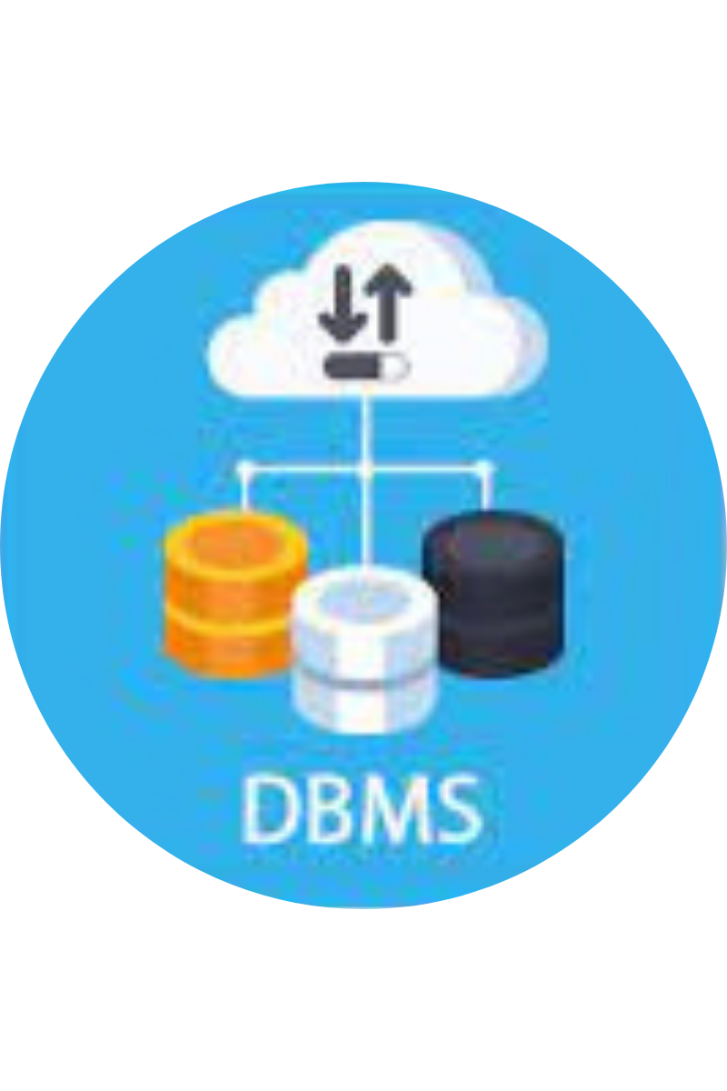 File Based Systems File System Vs Dbms Key Difference Between File 5457